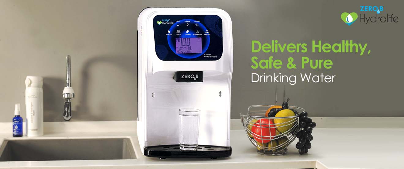 WATER PURIFIER - EVERGREEN ENERGY SOLUTIONS